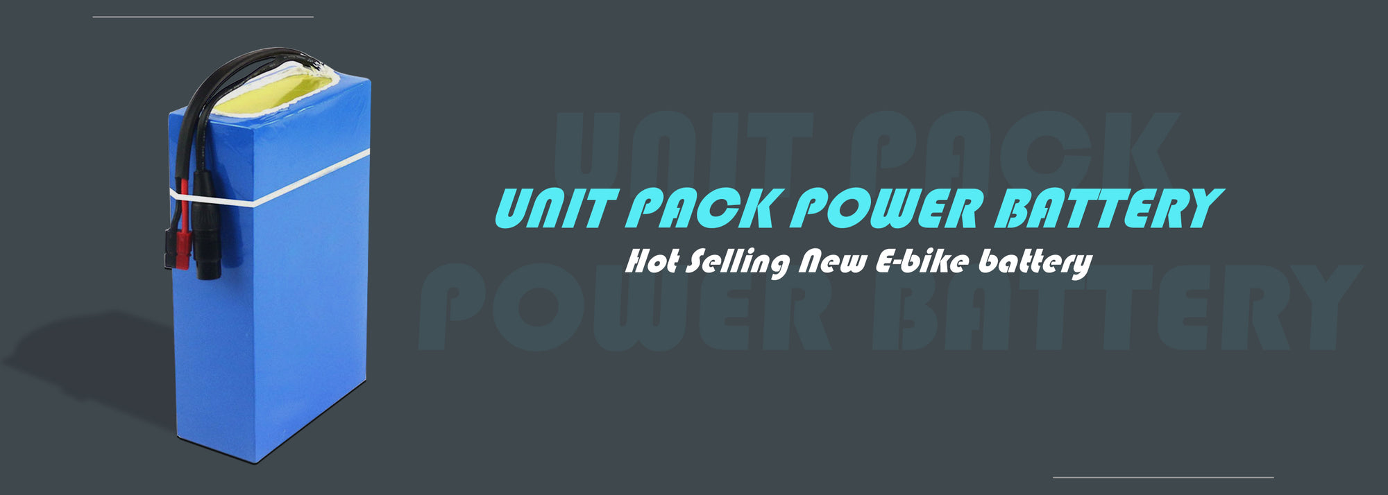Unit Pack Power USA Online Official Site | Order UPP Ebike Batteries