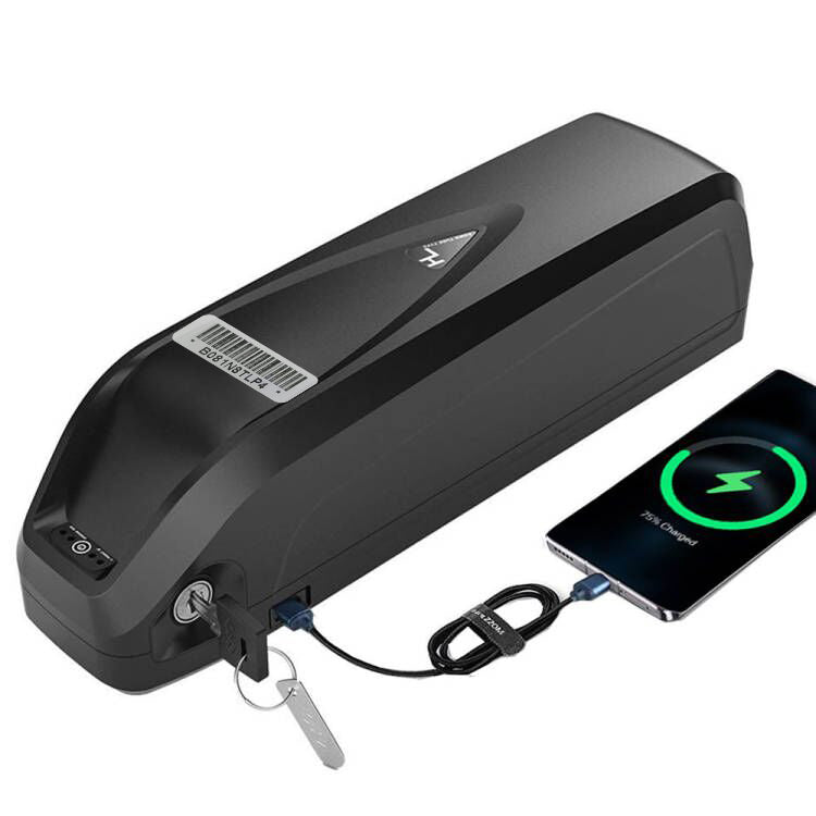 Unit Pack Power S039-3 48V 13Ah BMS30A ebike battery for 0-1000W Bafan ...